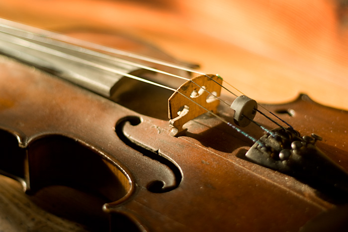 Matt Tarling: Journey from Classical Violinist to Eclectic Performer ...